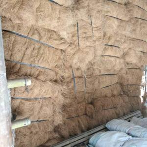 Jual Sabut kelapa serabut kelapa cocofiber coco fiber bersih kering ...