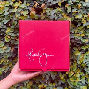 Jual bsp box 20x20x7 hampers/souvenirs/nasi/jajan/jilbab/baju dll ...