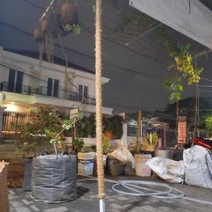 Jual Promo Turus Tanaman Tali Sabut 2 Meter Besar Full Paralon ...