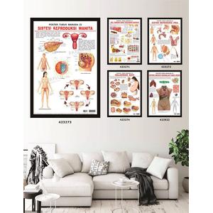 Jual Poster Pendidikan / Kesehatan / Tubuh Manusia Reproduksi Wanita ...