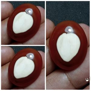 Jual Akik Natural Batu Motif Gambar Buah Mangga Kulit Luar Putih Unik ...