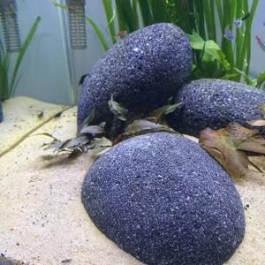 Jual River Stone / Batu Kali Bulat Besar - Aquascape Terrarium ...