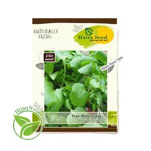 Jual Monggo !! Benih SELADA AIR / WATERCRESS / JEMBAK Haira Seed (250 ...