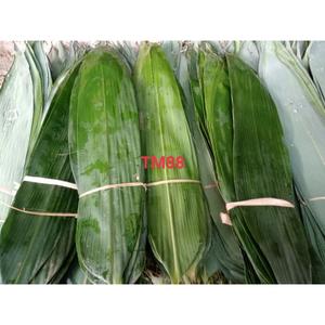 Jual DAUN BAMBU/DAUN BACANG/DAUN BAKCANG - Jakarta Barat - Salsa foods ...