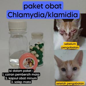 Jual Zona Sehat Paket Chlamydia Klamidia Mata Kucing Iritasi Bengkak ...