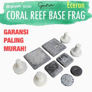Jual Frag Base Coral - Reef Frag Disk - Fragbase Coral Plug Sps Zoanthid - Kotak Besar, Putih ...