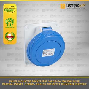 Jual PLUGIN SCHNEIDER PANEL SOCKET ANGLED PK PRATIKA SCREW 32A ...