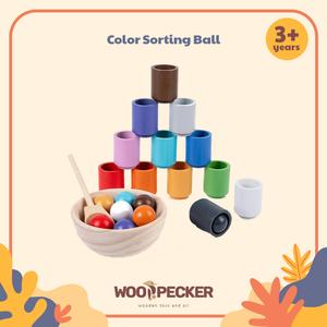 Jual Mainan color sorting ball wooden mengatur warna bola gelas kayu ...