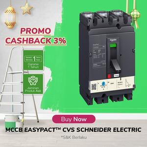 Jual Schneider Electric MCCB CVS MCCB 100-250 B 25kA TM63D 3P3D ...