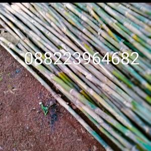 Jual bambu tiang bendera umbul umbul paketan isi 30 batang - Jakarta ...