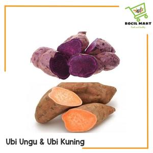 Jual UBI MADU DAN UBI UNGU / TELO MADU DAN TELO UNGU 1KG BY BOCIL MART ...
