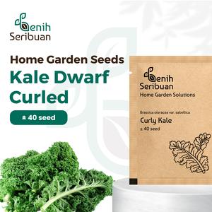 Jual Benih Seribuan Bibit Kale Dwarf Curly Heirloom Tanaman Herb Premium - PREM KALEDWARF - Kab ...