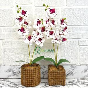 Jual sfm bunga anggrek bulan x2 latex artificial pot sabut kelapa ...