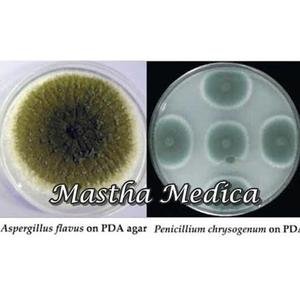 Jual Promo Media Tumbuh Bakteri PDA Plate Potato Dextrose Agar 1 Pack ...