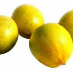 Jual Jeruk Lemon lokal 1kg - Jakarta Selatan - MINBO | Tokopedia