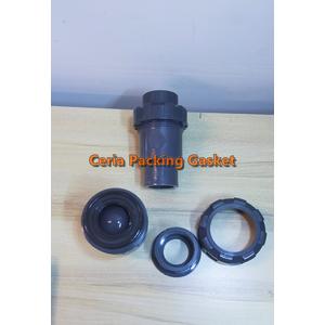 Jual Single ball check pvc 1 inch / ball check valve single watermur ...