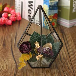 Jual Redy Succulent Plant Triangle Greenhouse Glass Terrarium Diy ...