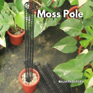Jual Mosspole Turus Lumut Turus Ukuran 30&60Cm - Hitam, 50cm - Jakarta ...