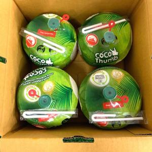 Jual Coco Thumb Family Pack - Kelapa Muda Thailand Isi 4 Pcs Gift ...
