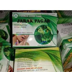Jual [READY] Jarak pagar obat sakit gigi original .ASLI - Jakarta Barat ...