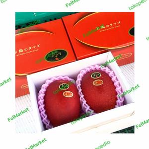 Jual Mangga Miyazaki Japan High Grade | Mangga Merah Jepang | Box ...