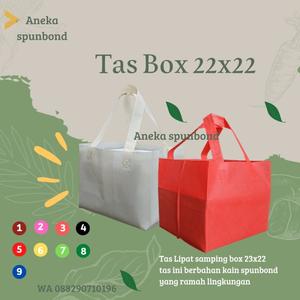 Jual Tas Spunbond/ Goodie Bag Tas Kotak Nasi Box 22 X 22 Isi 12Pcs ...