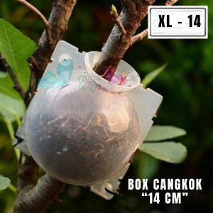 Jual Alat Cangkok Tanaman 14 cm NKT Bola Cangkok 14 cm Bening Box ...