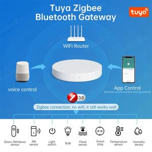 Jual NT Tuya Zigbee Bluetooth Gateway Wireless BLE-Mesh Hub Smart Home ...