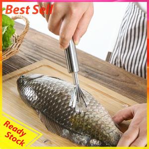Jual New ♈ready Stock♈coconut Shaver Stainless Steel Fish Skin Scale ...