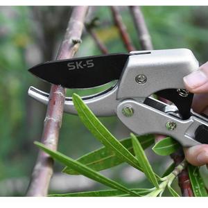Jual Gunting Pruning Dahan Ranting Kayu ng Tanaman Tumbuhan Bunga Tajam ...