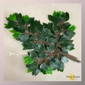 Jual daun beringin hijau (lusinan) daun artificial / daun dek sibtpa ...