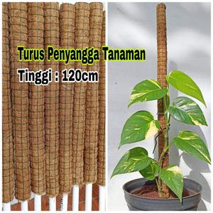 Jual PRODUK TERBARU! Turus Penyangga Tanaman 120cm/Tiang Ajir Rambatan ...