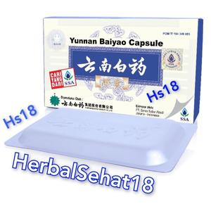 Jual AMN_45 Yunan Baiyao Capsule - Obat Luka Dalam dan Luka Luar - Kota ...
