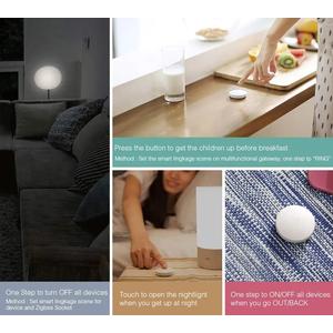 Jual NT Tools Wireless Switch Zigbee Mini Smart Control Buttons House ...