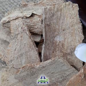 Promo Kulit Kayu Pule (Simplisia Kering) - Kab. Bantul - Herbal AA ...