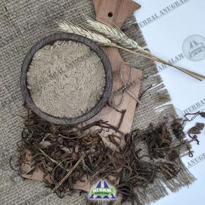 Jual Akar Purwoceng (Simplisia Kering) Herbal - Kab. Bantul - Herbal AA ...