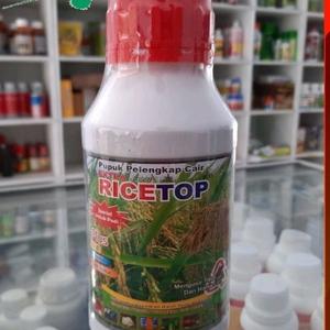 Jual Ricetop 1 liter Penambah Bobot Padi dan Pengusir Tikus sawah - Jakarta Utara - yomerawe ...