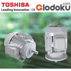 Jual AC MOTOR TOSHIBA DALIAN (0.37KW/0.5HP-4P-220/380/415V-50HZ-IMB3 ...