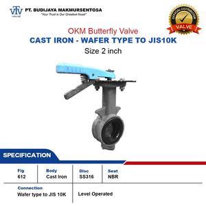 Jual OKM Butterfly Valve Cast Iron NBR - 2 Inch - Kota Medan - WIKA ...