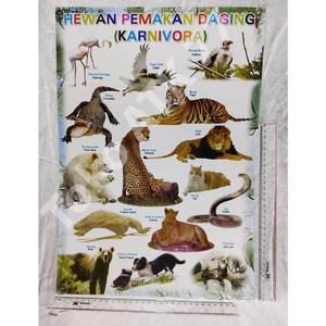 Jual SUPER MURAH Poster Tarian Tradisional Adat Khas Daerah Propinsi ...