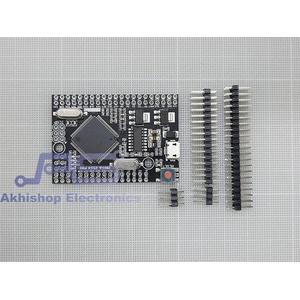 Jual MEGA 2560 PRO MINI ATMEGA2560-16AU ARDUINO MEGA 2560 COMPATIBLE ...