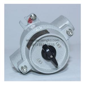 Jual Saklar Selector Switch On Off Explosion Proof BZM HELON - Jakarta ...