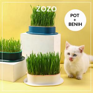 Promo ZOZO Pot Tanam Rumput Kucing Tumbuh Benih Gandum Cat Grass ...