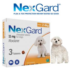 Jual NEXGARD obat kutu & demodex hewan 2 - 4 kg Box isi 3 tablet - Kab ...
