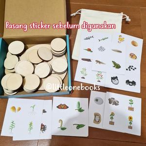 Jual Life Cycle Board / Mainan Edukasi Anak Belajar Siklus Hidup ...