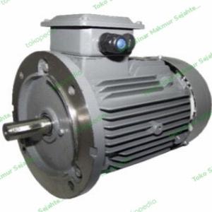 Jual Teco motor 5 hp 3,7 kw rpm 4 pole 1450 rpm 3 phase flange mounted ...