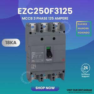 Promo MCCB 3 Phase 125 Ampere 3P 125A OriginalSNI Schneider EasyPact ...
