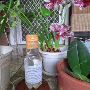 Jual ORIGINAL 100% MIKORIZA Pupuk Organik Anggrek Cair ASLI 1000 ml 1 ...