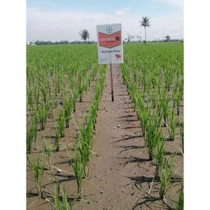 Jual Herbisida Council Complete 300SC 100 ml - Jakarta Barat - Permata ...