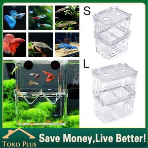 Jual Breeding Box Net / Karantina Ikan aquarium, kotak kawin ikan ...